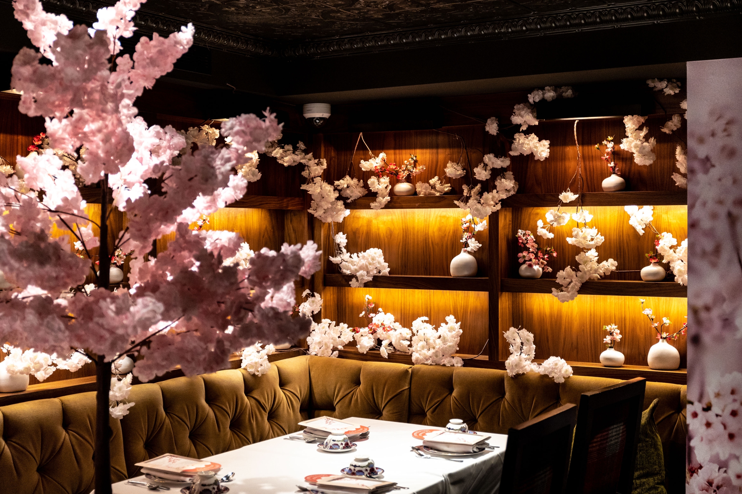 Your Ultimate Guide To Cherry Blossom Season in Vancouver - Fairmont ...